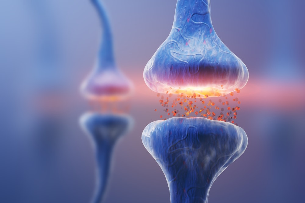 What Is Functional Neurotransmitter Testing And Its Advantages Dr What Is Functional Neurotransmitter Testing And Its Advantages Dr